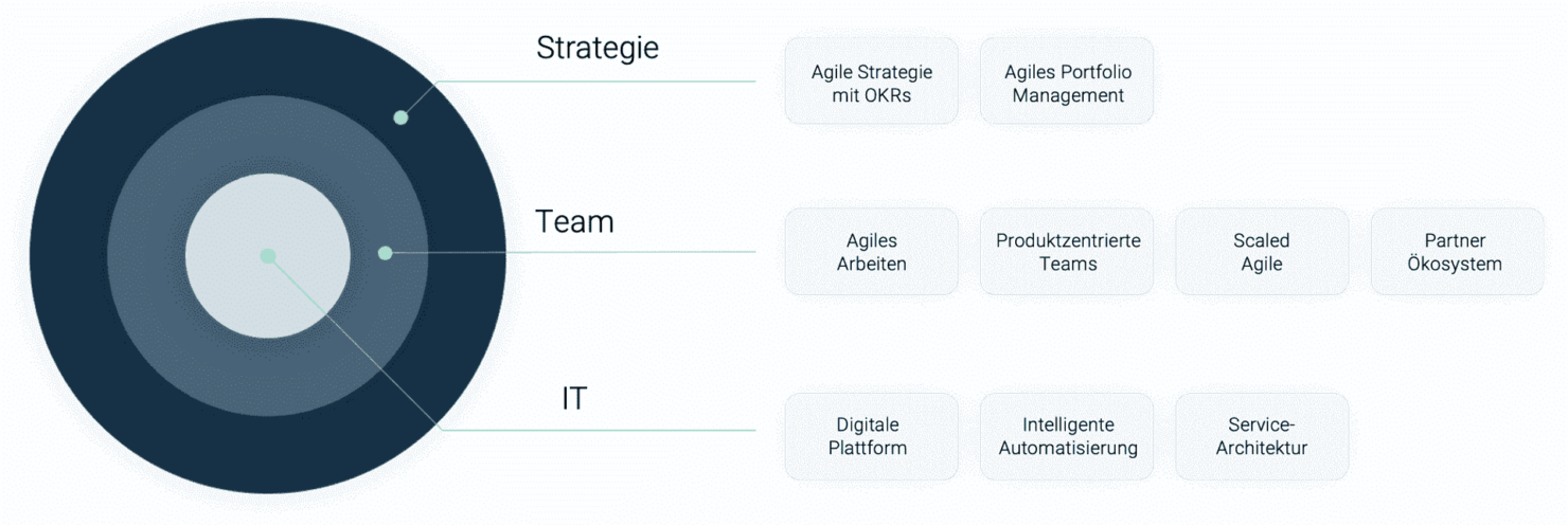 Agile Transformation - Der Weg zur agilen Organisation | neoverv